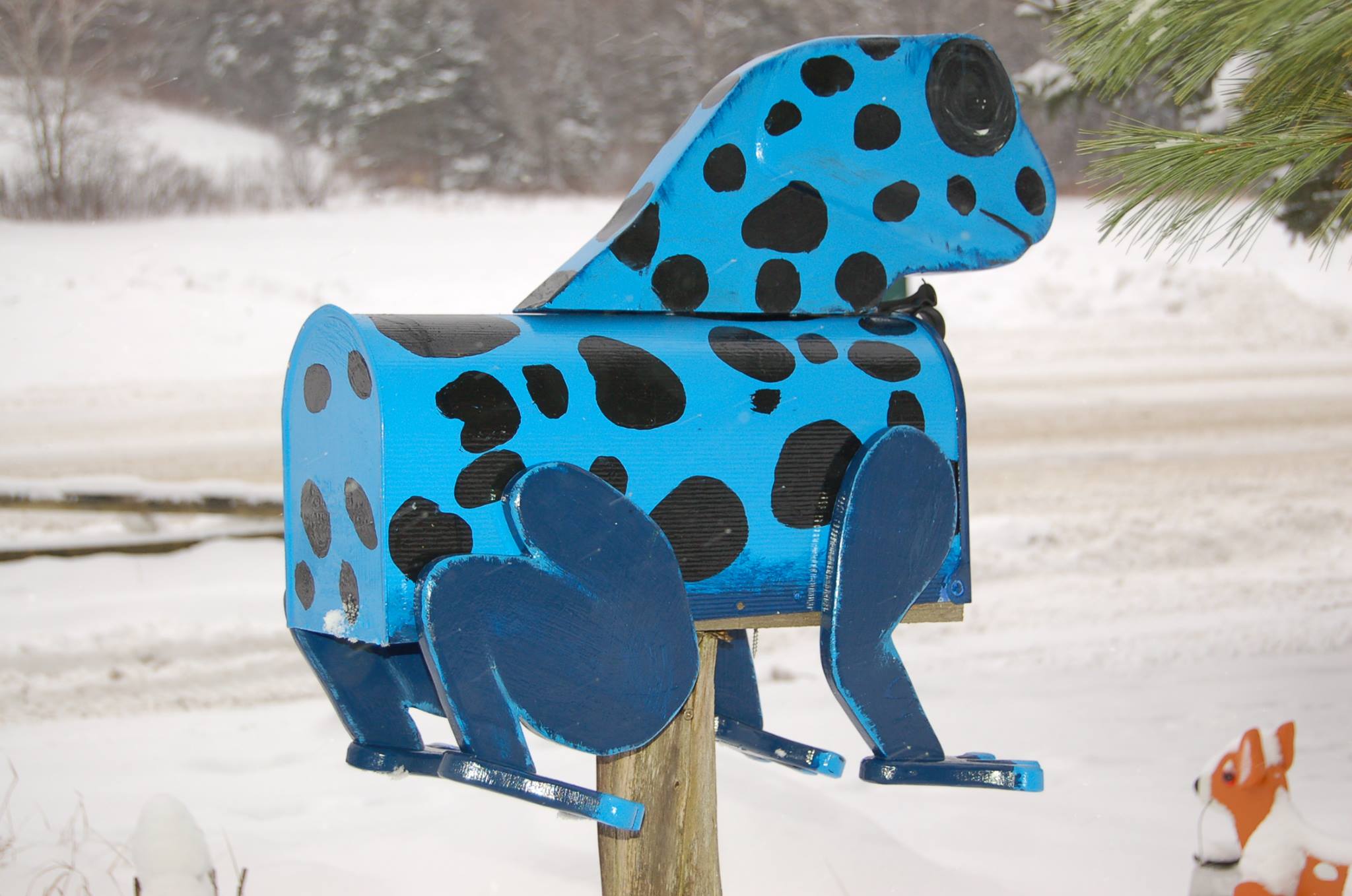 Poison tree frog, animal mailbox, truck mailbox, fish mailbox ...