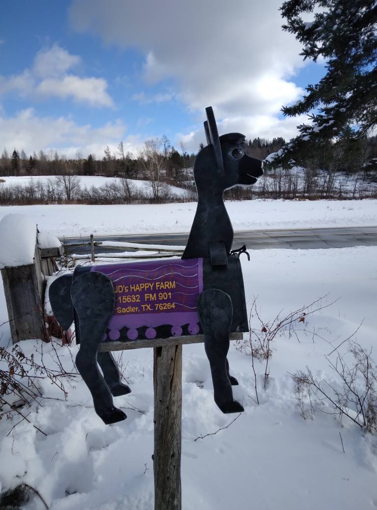 Alpaca mailbox, farm animal mailbox, novelty mailbox, cartoon mailbox ...